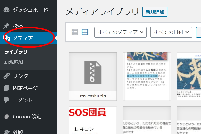 WordPress ZIP 